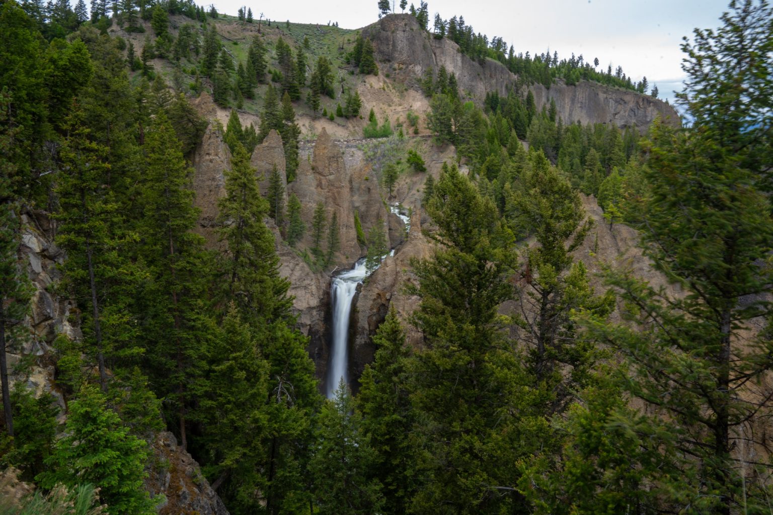 18 Easy Hikes in Yellowstone National Park